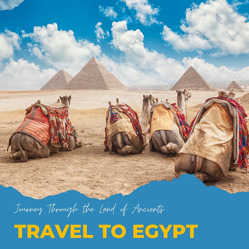 Journey Through Ancient Egypt | VeloeSIM